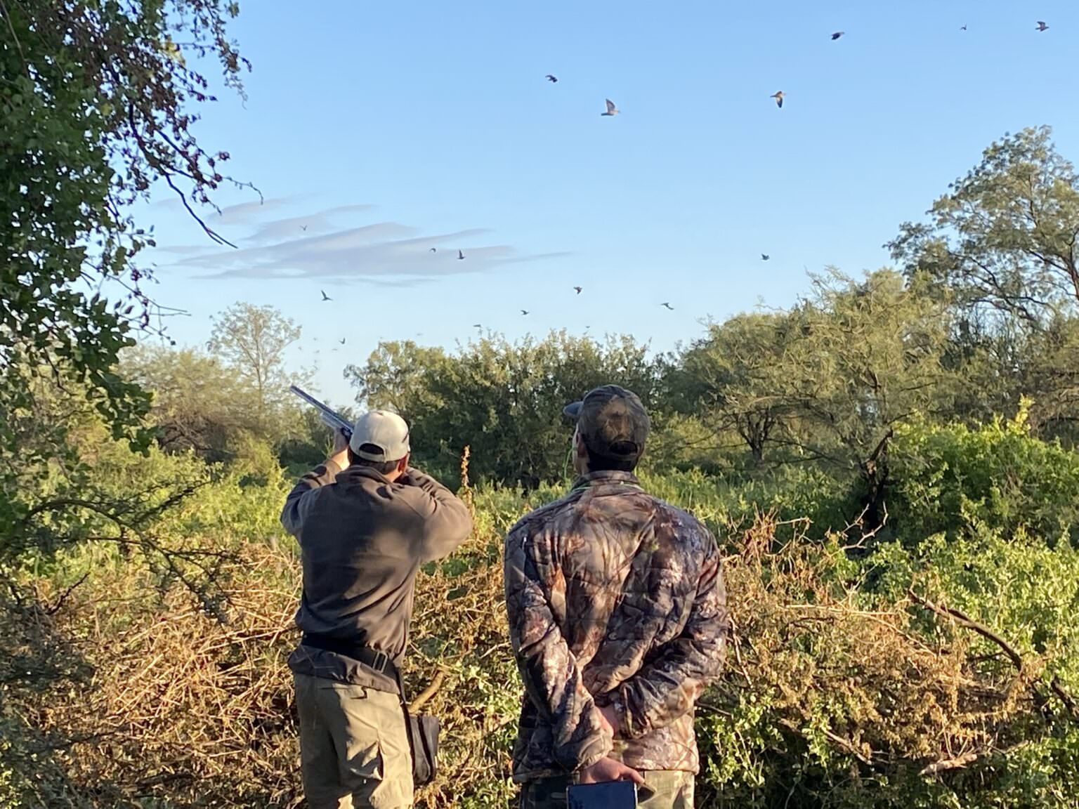The Lodges – Wingshooting Unlimited – Bird Hunting in Argentina